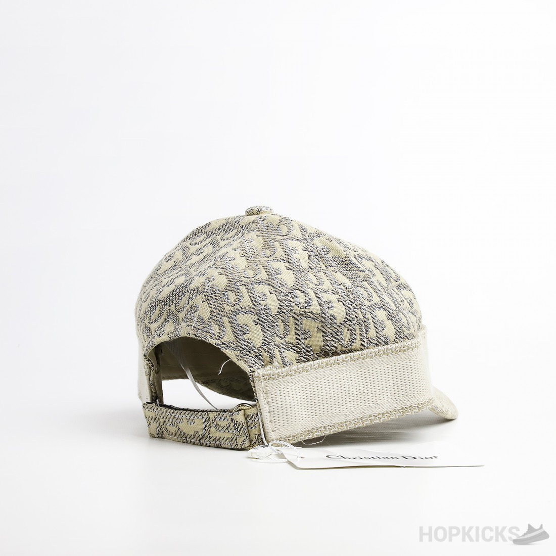Dior Oblique Striped Logo Skin Cap